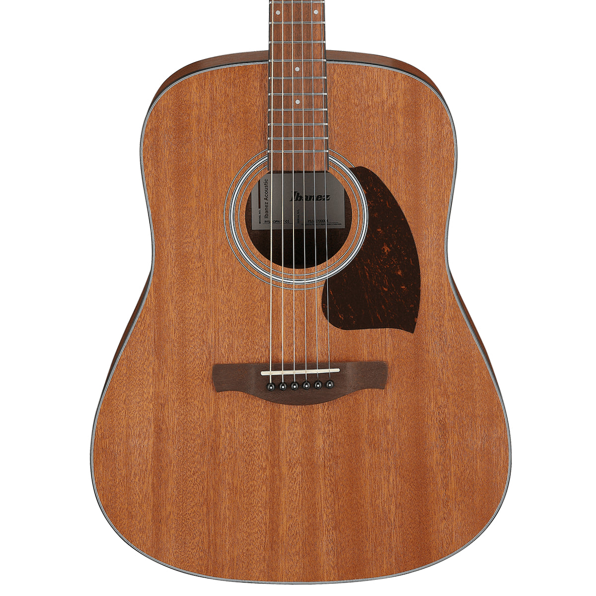 Ibanez PF54 Acoustic Guitar – Portland Music Company