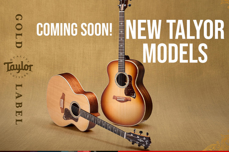 Portland Music Company, quality music instruments stores in Portland